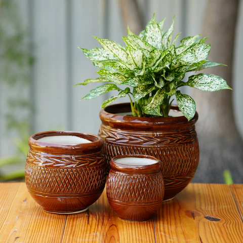 CERAMIC POTS - The Natural Plants